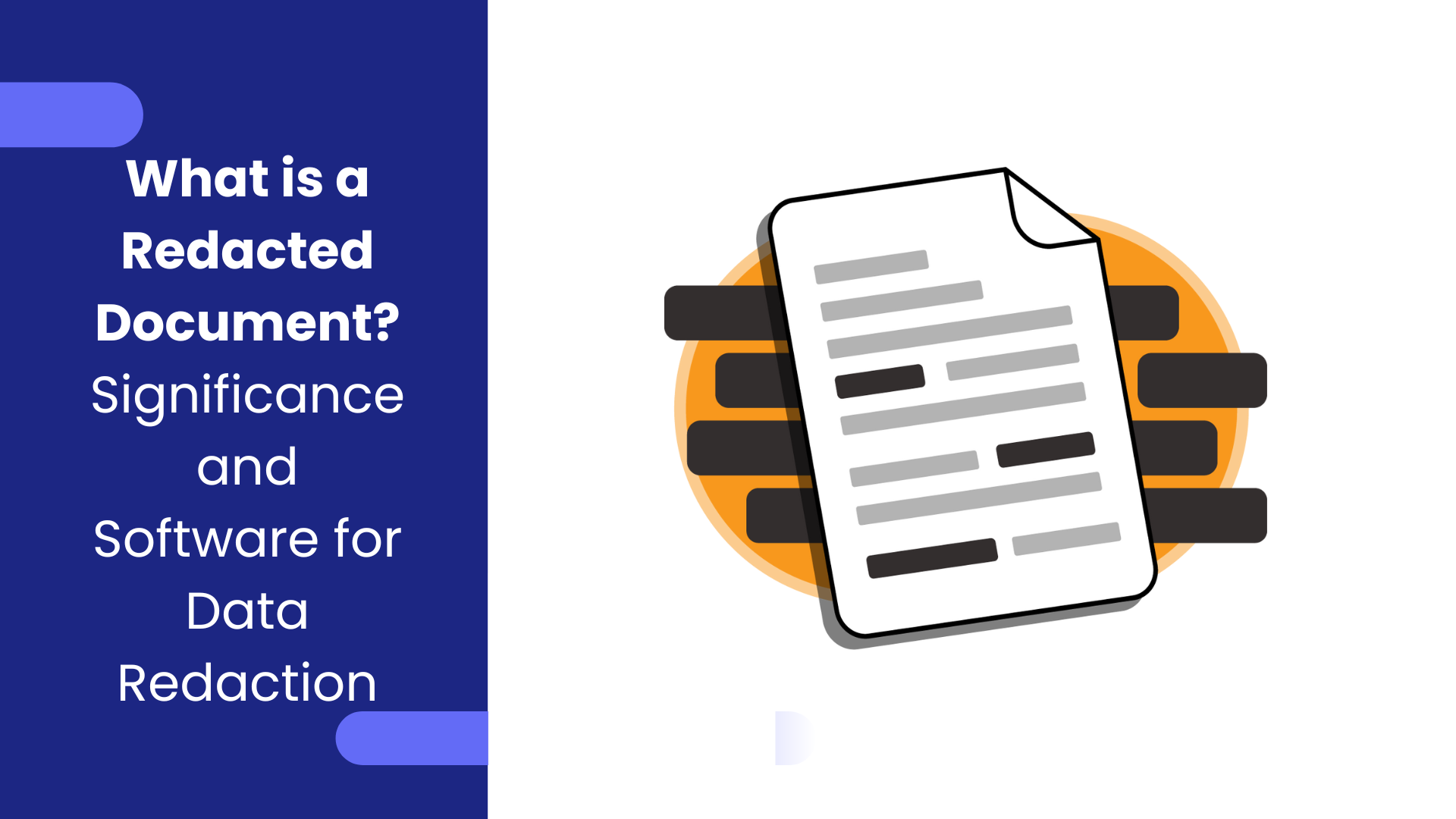 Significance And Software For Document Data Redaction